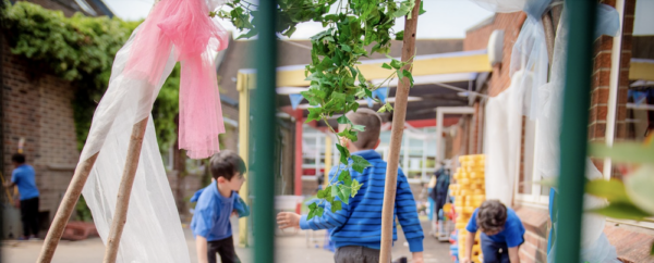 RIGs and SIGs - NALDIC