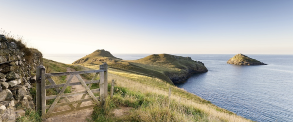 RIGs and SIGs - NALDIC