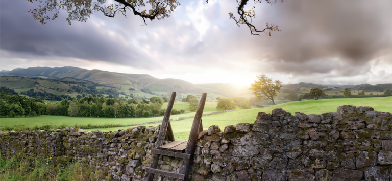 Yorkshire and Humber RIG - NALDIC